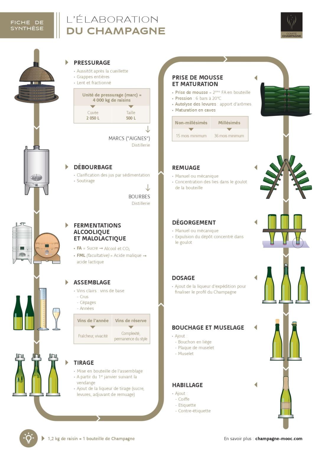 L'élaboration du Champagne | Champagne Education