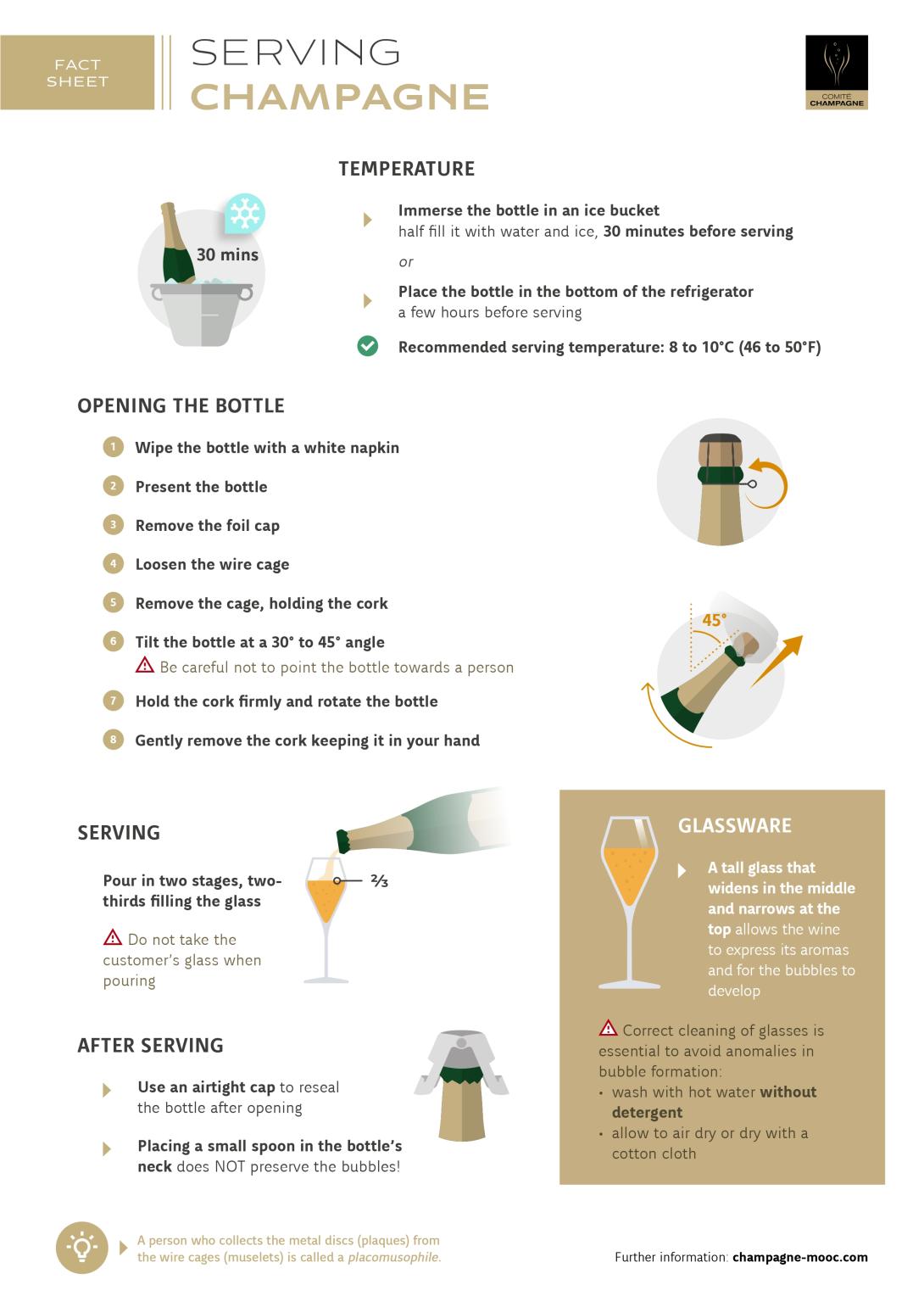 Serving Champagne | Champagne Education