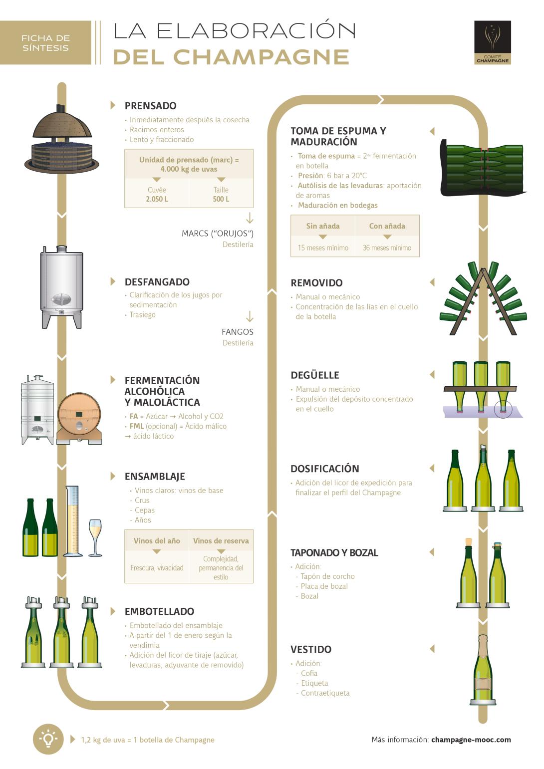 La elaboración del Champagne | Champagne Education